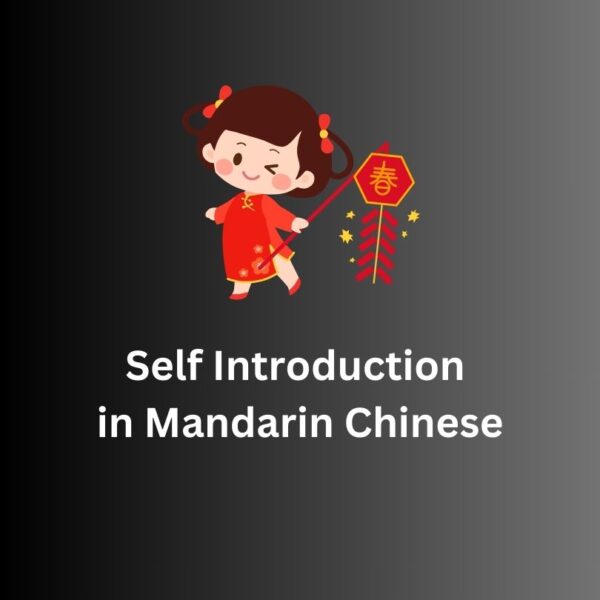 Mastering Sentences with 是 (Shì) in Mandarin Chinese - Ste Magazine