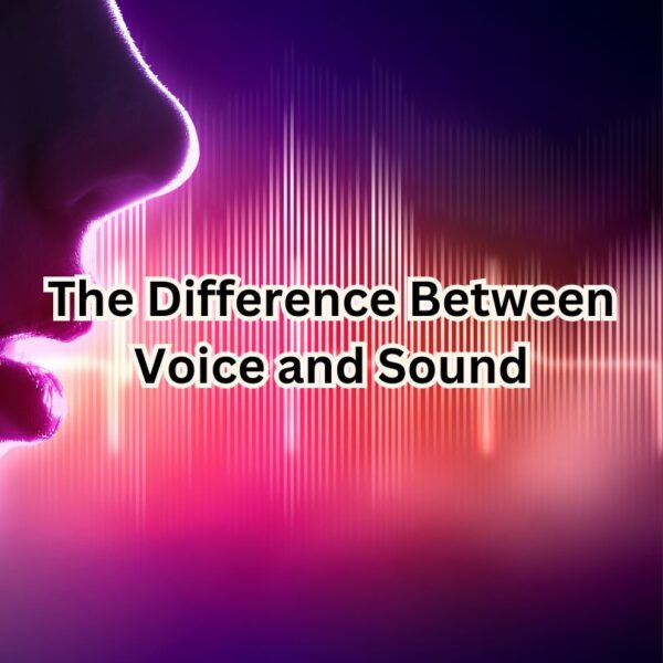 What is the Difference Between Voice and Sound - Ste Magazine