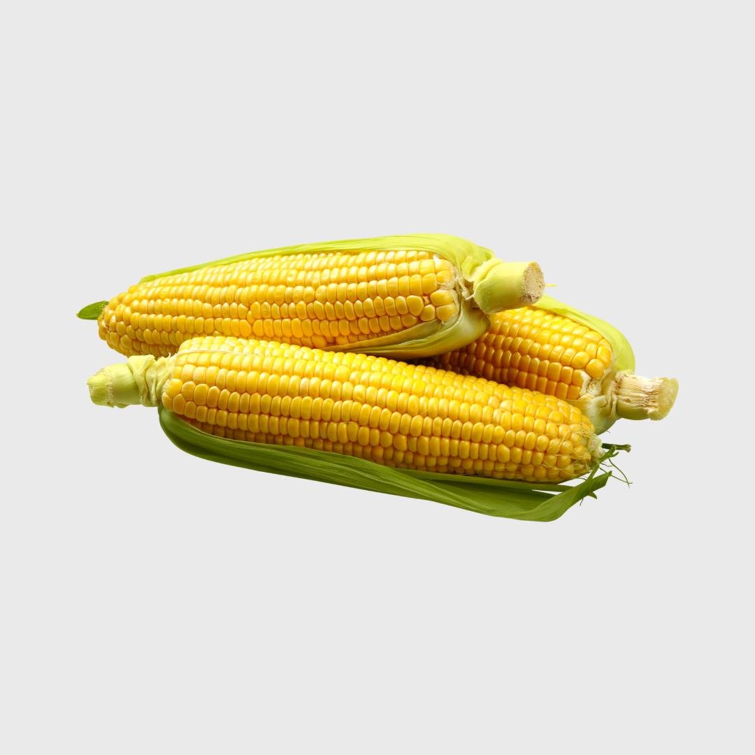 English Vocabulary on Vegetables: Learn and Practice with Examples ...